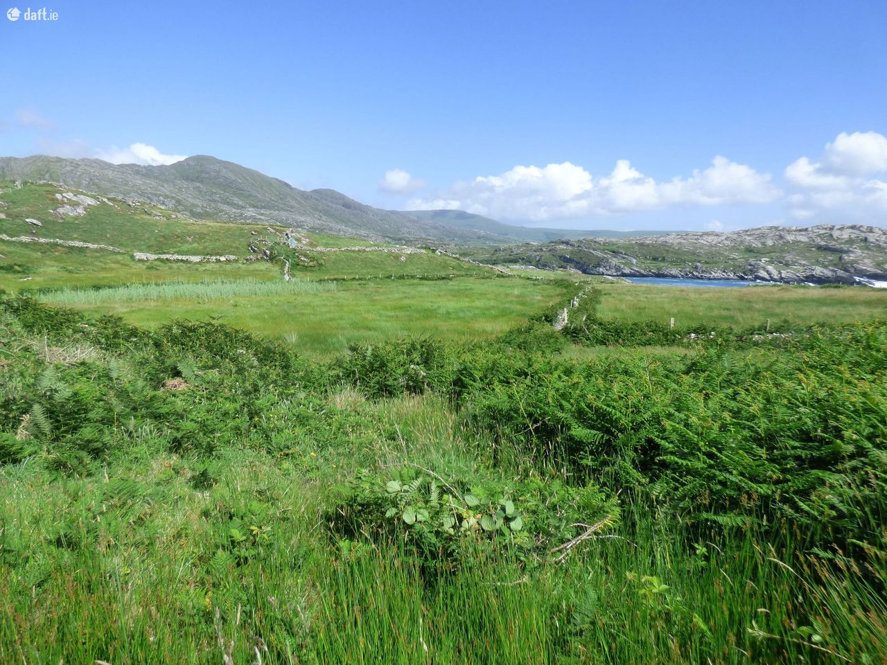 Reentrisk, Allihies, Beara, Co. Cork, Ref: 2510 - JJ O'Sullivan - Beara ...
